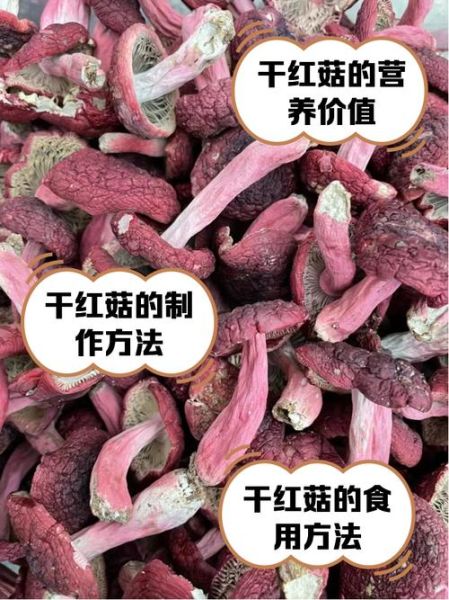 红姑的功效与作用_红姑怎么吃效果最好-第1张图片-山城妙识 红姑的功效与作用_红姑怎么吃效果最好-第1张图片-山城妙识