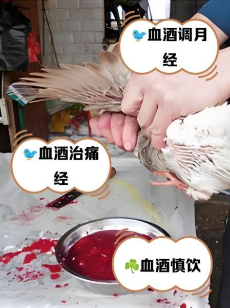 鸽子血能吃吗_鸽子血有什么功效-第1张图片-山城妙识