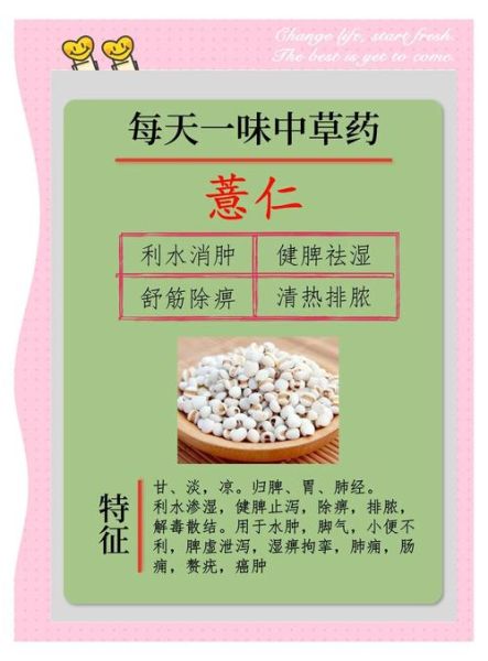 薏仁米怎么煮最祛湿_薏仁米功效与禁忌-第2张图片-山城妙识