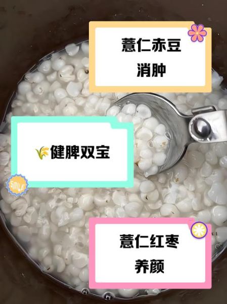 薏仁米怎么煮最祛湿_薏仁米功效与禁忌-第3张图片-山城妙识