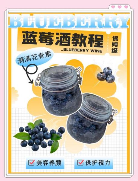 蓝莓果酱怎么调成汁_蓝莓果酱兑水比例是多少-第2张图片-山城妙识