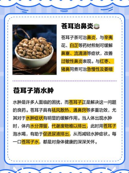 苍耳煮水治皮肤病有效吗_苍耳煮水怎么用-第1张图片-山城妙识