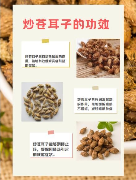 苍耳煮水治皮肤病有效吗_苍耳煮水怎么用-第2张图片-山城妙识