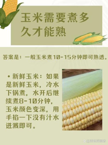 一根玉米要煮多久才熟_玉米煮多久口感最好-第2张图片-山城妙识 一根玉米要煮多久才熟_玉米煮多久口感最好-第2张图片-山城妙识