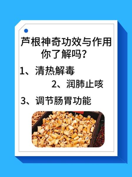 芦根的功效与作用_芦根能退烧吗-第1张图片-山城妙识