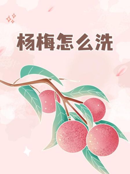 杨梅怎么洗_杨梅用盐水泡多久-第1张图片-山城妙识