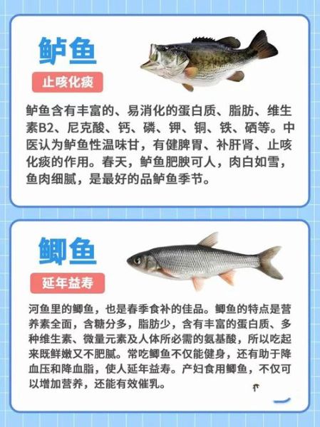鱼的营养价值_吃鱼有什么好处-第1张图片-山城妙识