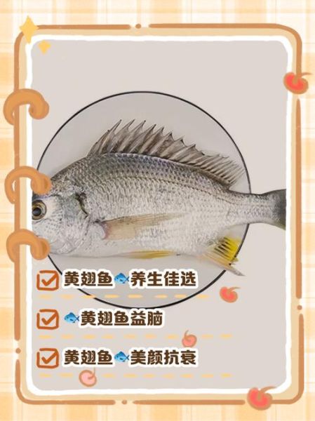 鱼的营养价值_吃鱼有什么好处-第3张图片-山城妙识