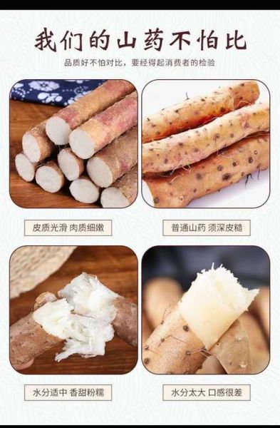 山药图片_山药怎么挑选-第2张图片-山城妙识 山药图片_山药怎么挑选-第2张图片-山城妙识