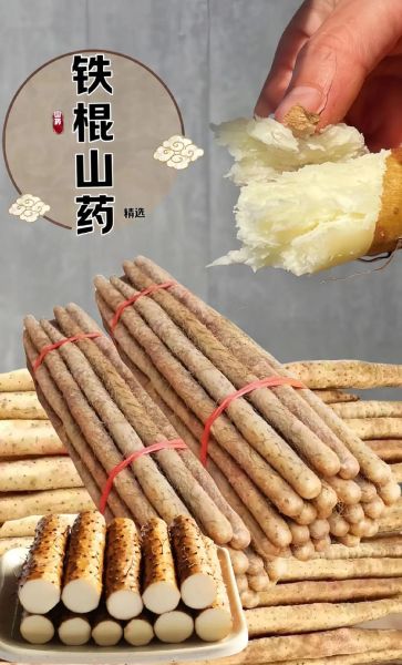山药图片_山药怎么挑选-第3张图片-山城妙识 山药图片_山药怎么挑选-第3张图片-山城妙识