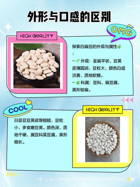 白扁豆与白芸豆的区别_哪个更适合减肥-第1张图片-山城妙识