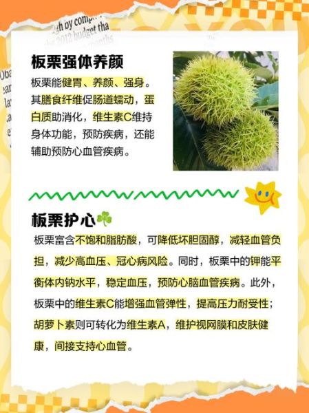 板栗的功效与作用及禁忌_吃板栗会上火吗-第2张图片-山城妙识