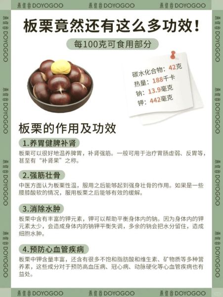 板栗的功效与作用及禁忌_吃板栗会上火吗-第1张图片-山城妙识