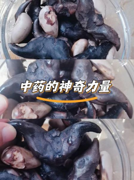 菱角拼音怎么读_菱角的功效与作用-第2张图片-山城妙识