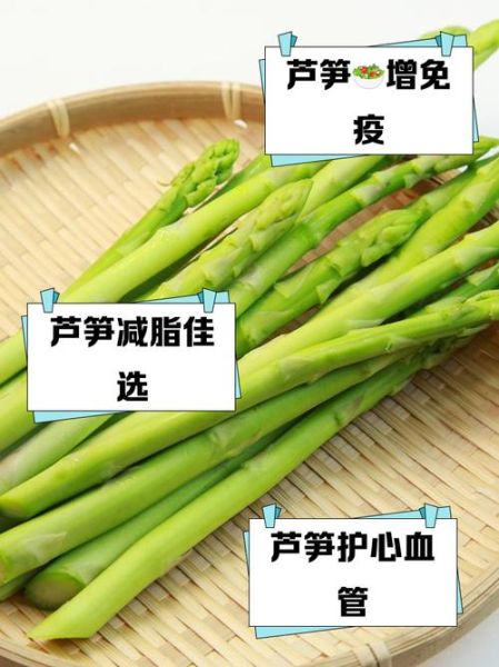 芦笋的功效与作用_芦笋的营养价值高吗-第3张图片-山城妙识