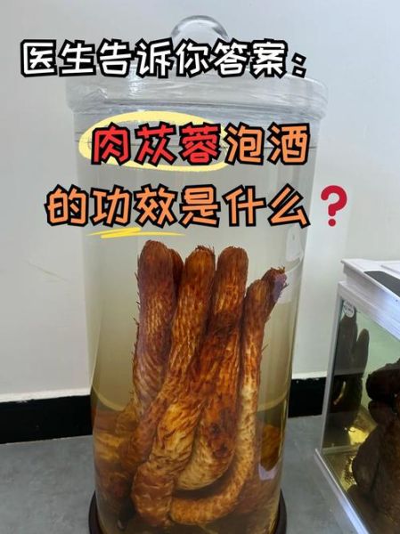 肉苁蓉可以泡水喝吗_肉苁蓉泡水正确方法-第1张图片-山城妙识 肉苁蓉可以泡水喝吗_肉苁蓉泡水正确方法-第1张图片-山城妙识