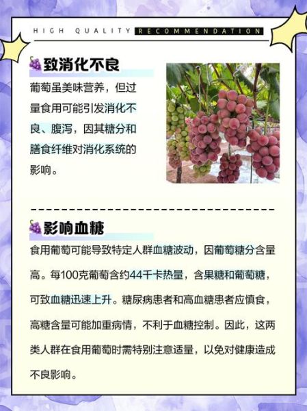 吃葡萄的好处与坏处有哪些_葡萄吃多了会胖吗-第2张图片-山城妙识