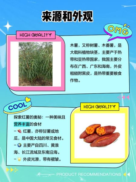 木薯是什么_木薯和红薯区别-第1张图片-山城妙识