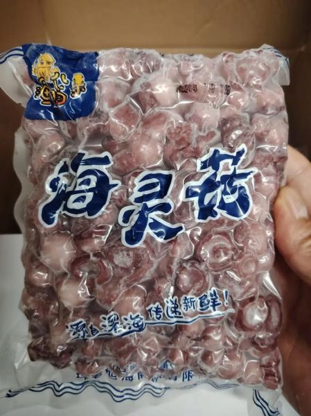 海蘑菇泡水喝的功效_海蘑菇泡水有什么禁忌-第1张图片-山城妙识 海蘑菇泡水喝的功效_海蘑菇泡水有什么禁忌-第1张图片-山城妙识