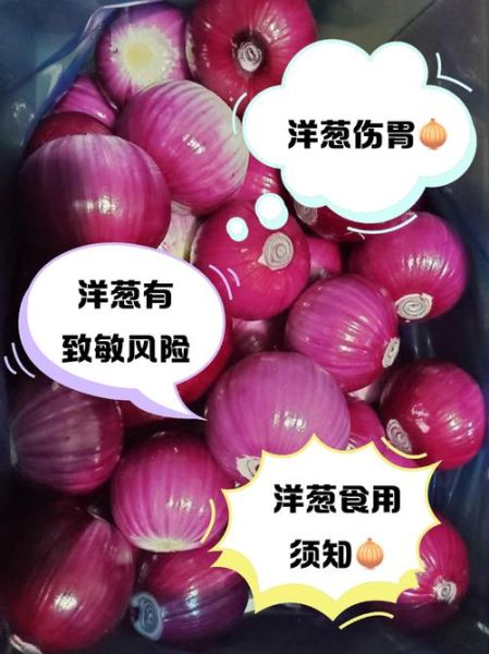 洋葱的功效与作用及禁忌_什么人不能吃洋葱-第2张图片-山城妙识