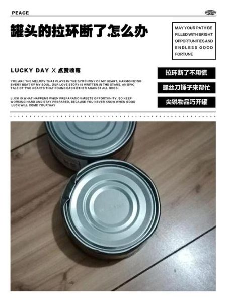 鱼罐头怎么打开_拉环断了怎么办-第1张图片-山城妙识