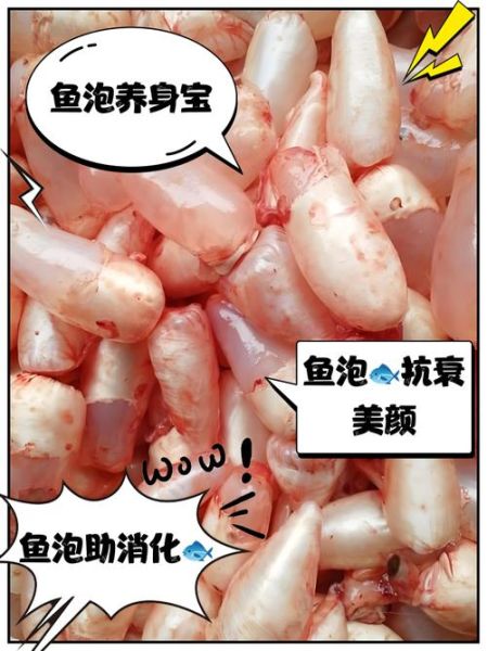 鱼泡的功效与作用_鱼泡的禁忌有哪些-第1张图片-山城妙识