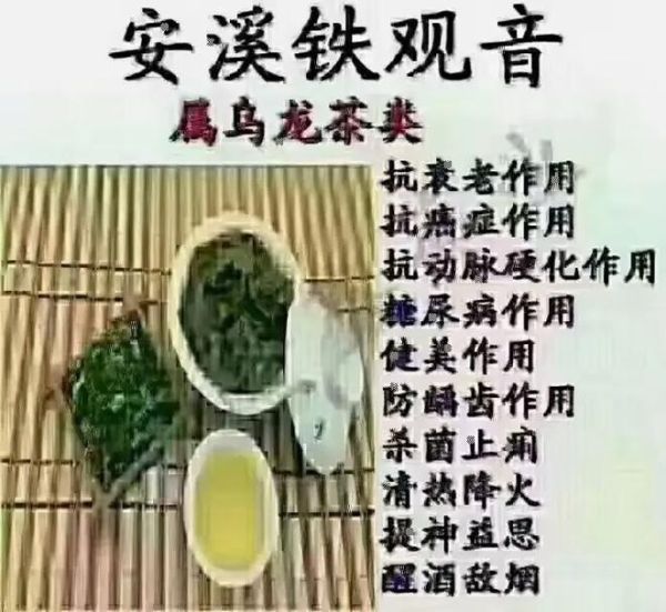 喝铁观音的好处与功效_铁观音适合什么人喝-第3张图片-山城妙识