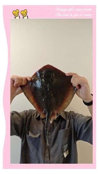 鳐鱼怎么清洗_鳐鱼怎么去除氨味-第1张图片-山城妙识