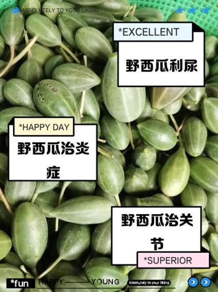 野西瓜的功效与作用_野西瓜怎么吃最好-第2张图片-山城妙识
