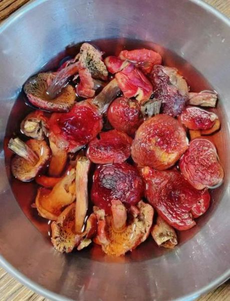 新鲜红菇怎么做好吃_红菇炖汤做法大全-第1张图片-山城妙识