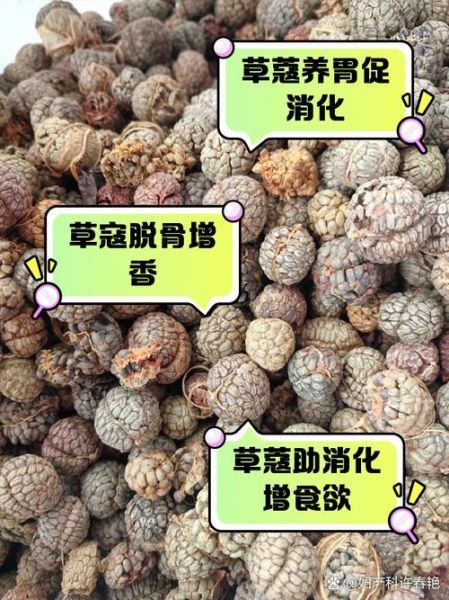 草寇香料是什么_草寇香料怎么用-第1张图片-山城妙识 草寇香料是什么_草寇香料怎么用-第1张图片-山城妙识
