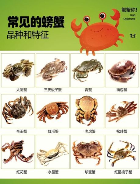 蟹的种类图片及名称_常见蟹品种大全-第1张图片-山城妙识 蟹的种类图片及名称_常见蟹品种大全-第1张图片-山城妙识