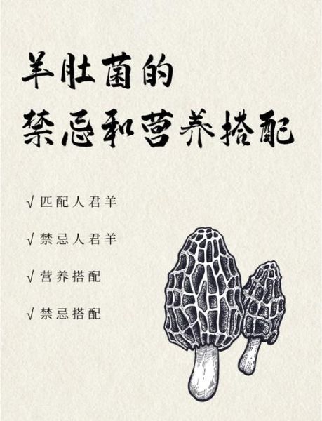 羊肚菌的功效与作用_羊肚菌多少钱一斤-第2张图片-山城妙识