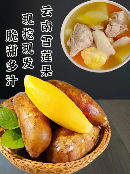 雪莲子要泡多久_雪莲子泡发技巧-第1张图片-山城妙识