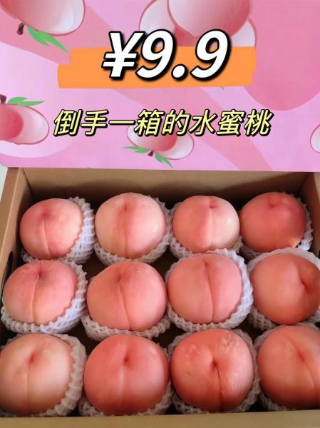 水蜜桃多少钱一斤_水蜜桃价格受哪些因素影响-第1张图片-山城妙识 水蜜桃多少钱一斤_水蜜桃价格受哪些因素影响-第1张图片-山城妙识