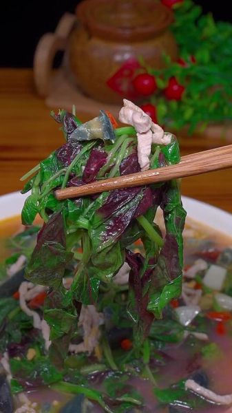 上汤苋菜怎么做_上汤苋菜用什么汤-第3张图片-山城妙识 上汤苋菜怎么做_上汤苋菜用什么汤-第3张图片-山城妙识