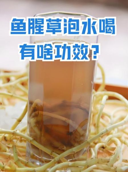 鱼腥草的功效与作用有哪些_鱼腥草能天天泡水喝吗-第2张图片-山城妙识