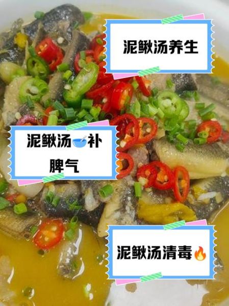 泥鳅汤的做法_泥鳅汤怎么炖才鲜-第1张图片-山城妙识