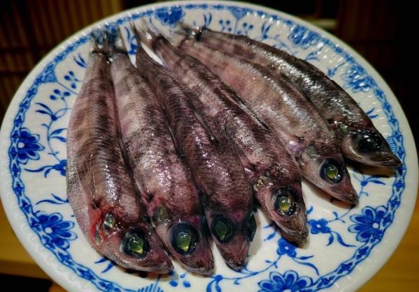 深海鱼图片大全_深海鱼种类有哪些-第1张图片-山城妙识 深海鱼图片大全_深海鱼种类有哪些-第1张图片-山城妙识