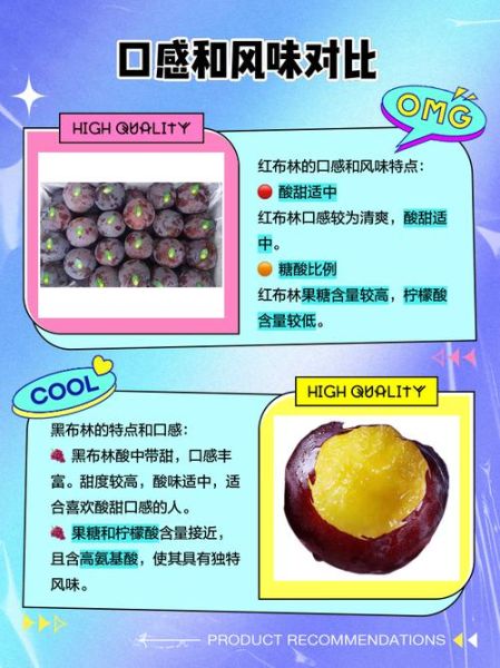 红布林的功效与作用_红布林怎么吃最好-第1张图片-山城妙识