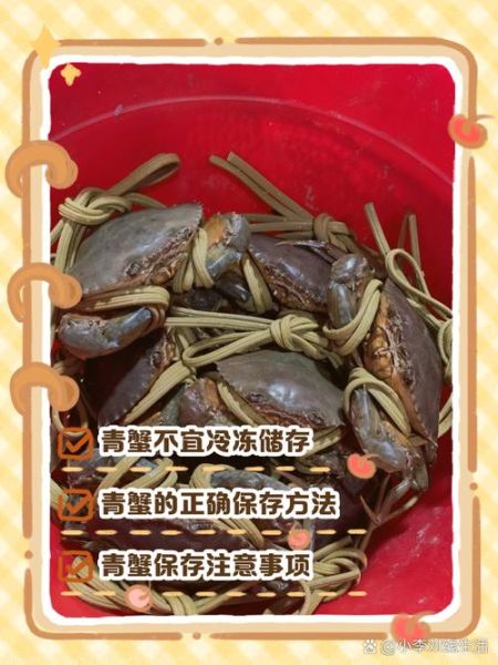 海蟹怎么保存才新鲜_海蟹冷藏还是冷冻-第3张图片-山城妙识