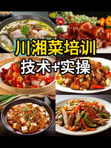 哪里可以学炒菜_学炒菜去哪里学-第1张图片-山城妙识