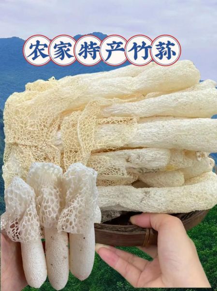 竹荪哪里产地最好_如何挑选优质竹荪-第1张图片-山城妙识 竹荪哪里产地最好_如何挑选优质竹荪-第1张图片-山城妙识