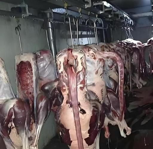 云南鸵鸟肉事件真相_鸵鸟肉还能吃吗-第2张图片-山城妙识