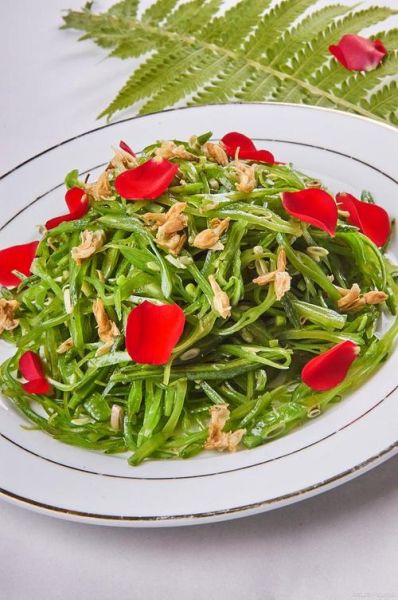 凉拌鹿角菜什么人不能吃_孕妇能吃吗-第3张图片-山城妙识