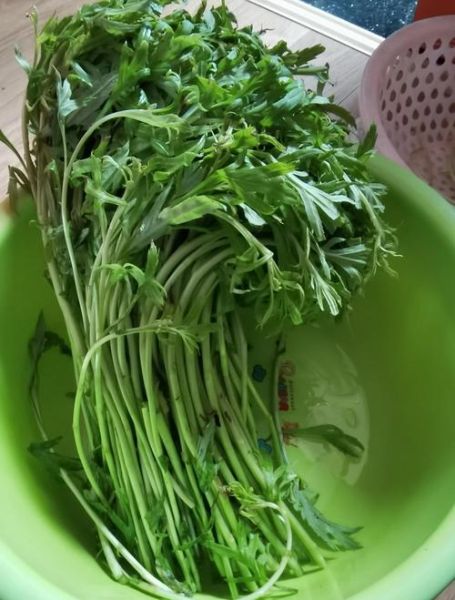 藜蒿炒肉怎么做_藜蒿炒肉用腊肉还是鲜肉-第3张图片-山城妙识