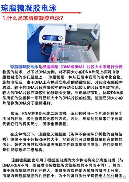 琼脂糖凝胶的制备步骤_如何配制1%琼脂糖凝胶-第3张图片-山城妙识 琼脂糖凝胶的制备步骤_如何配制1%琼脂糖凝胶-第3张图片-山城妙识