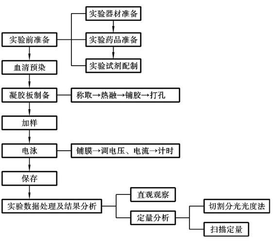 琼脂糖凝胶的制备步骤_如何配制1%琼脂糖凝胶-第2张图片-山城妙识 琼脂糖凝胶的制备步骤_如何配制1%琼脂糖凝胶-第2张图片-山城妙识