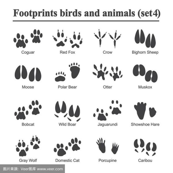 马蹄印图片_如何辨别真假-第3张图片-山城妙识