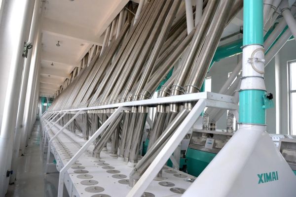 玉米面粉加工设备多少钱一套_玉米面粉加工设备哪家好-第1张图片-山城妙识